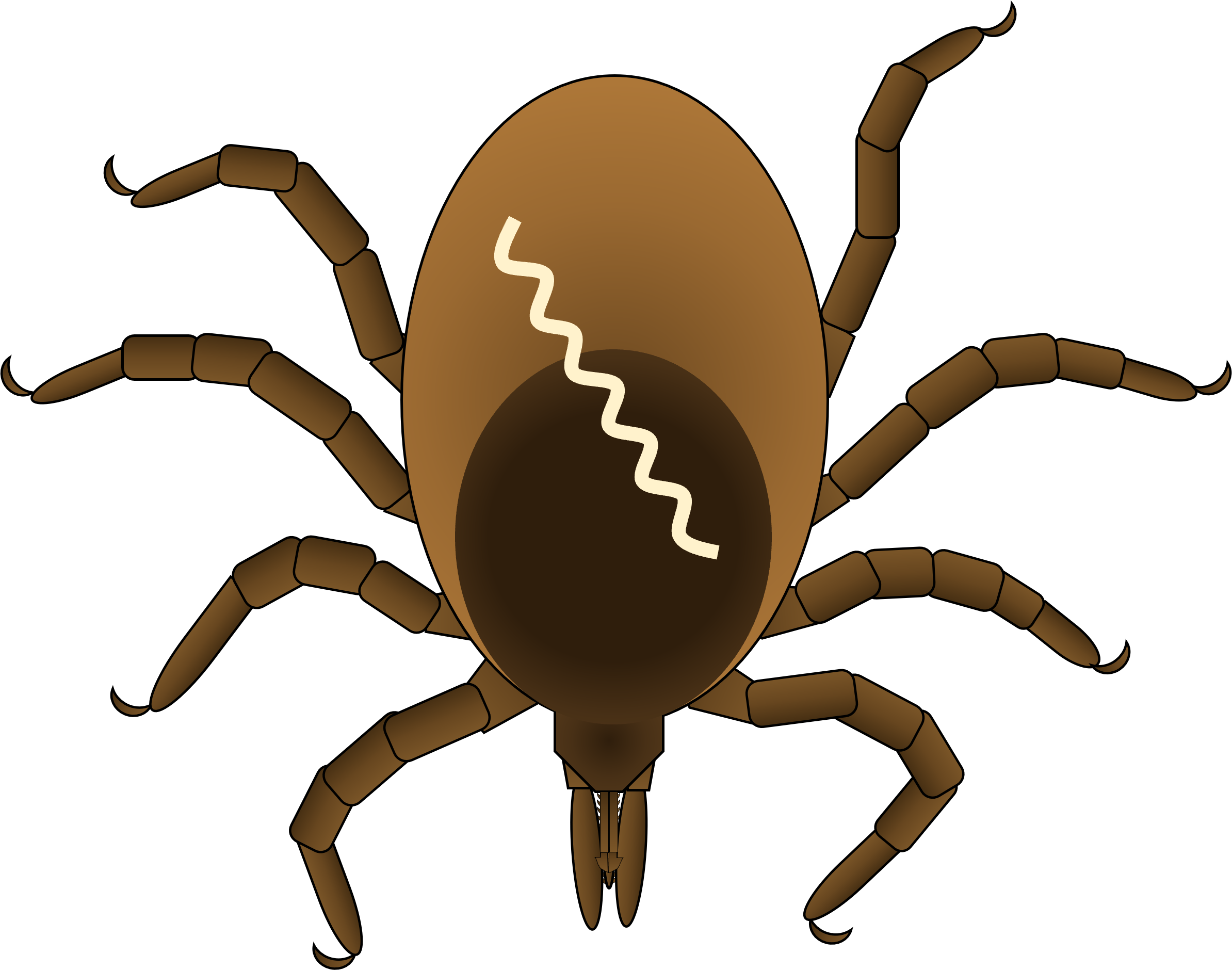 Emerging Outbreaks And Lyme Disease Wadsworth Center Researcher Yi Pin Lin And Colleagues